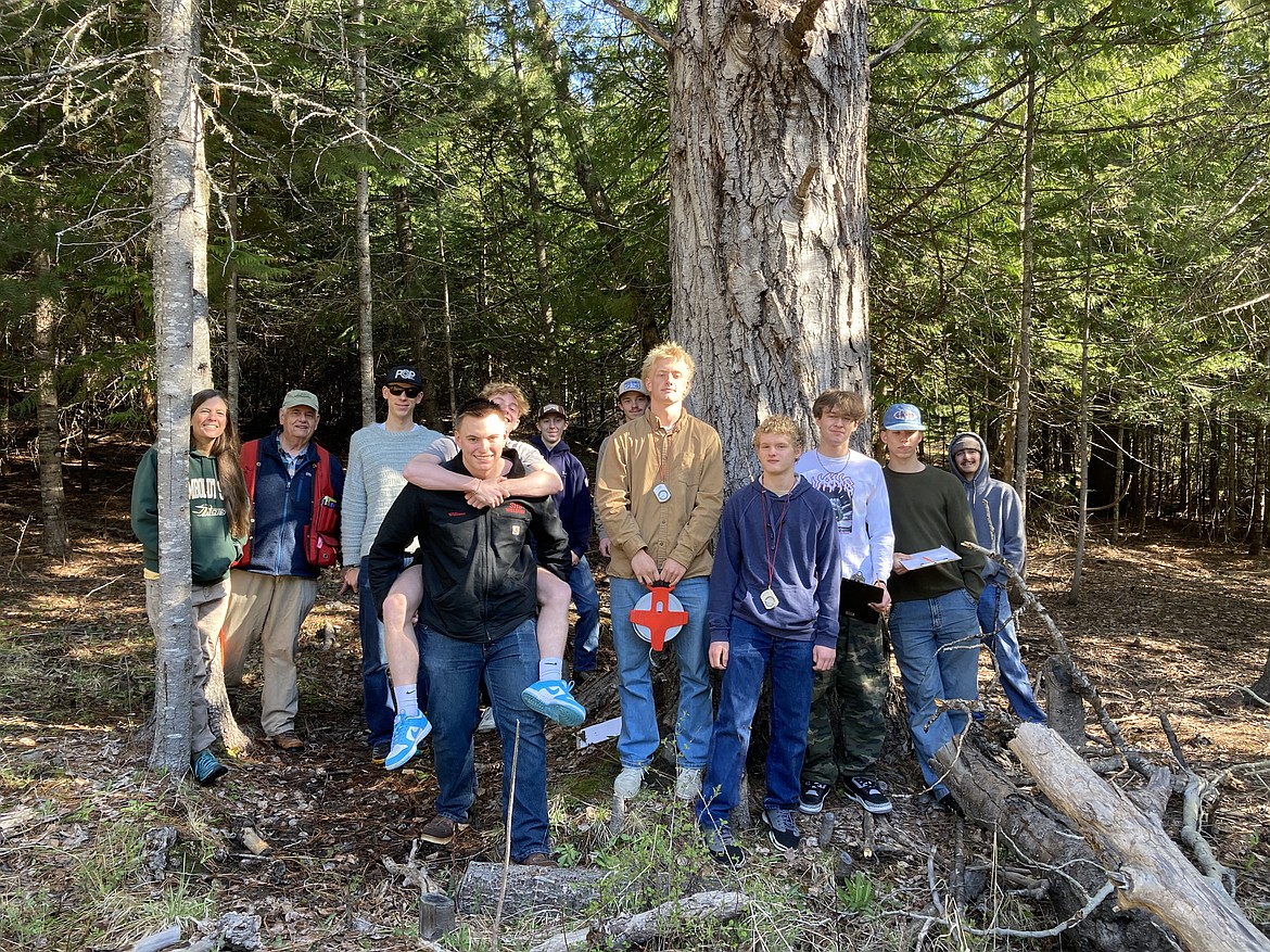 The largest aspen tree in Idaho? | Bonner County Daily Bee