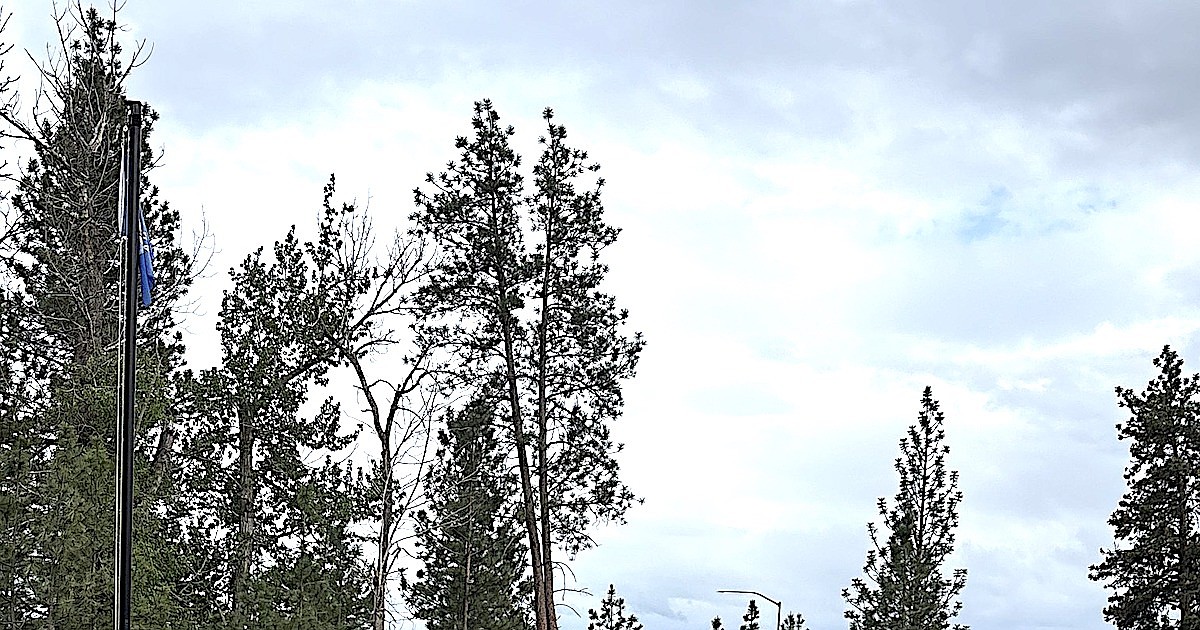 Troy Lady Trojans reach state softball tourney for first time | Western ...