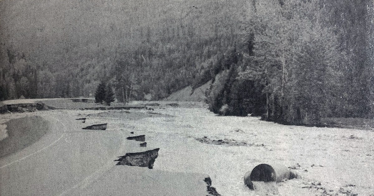 Looking Back: City hires dog catcher | Whitefish Pilot