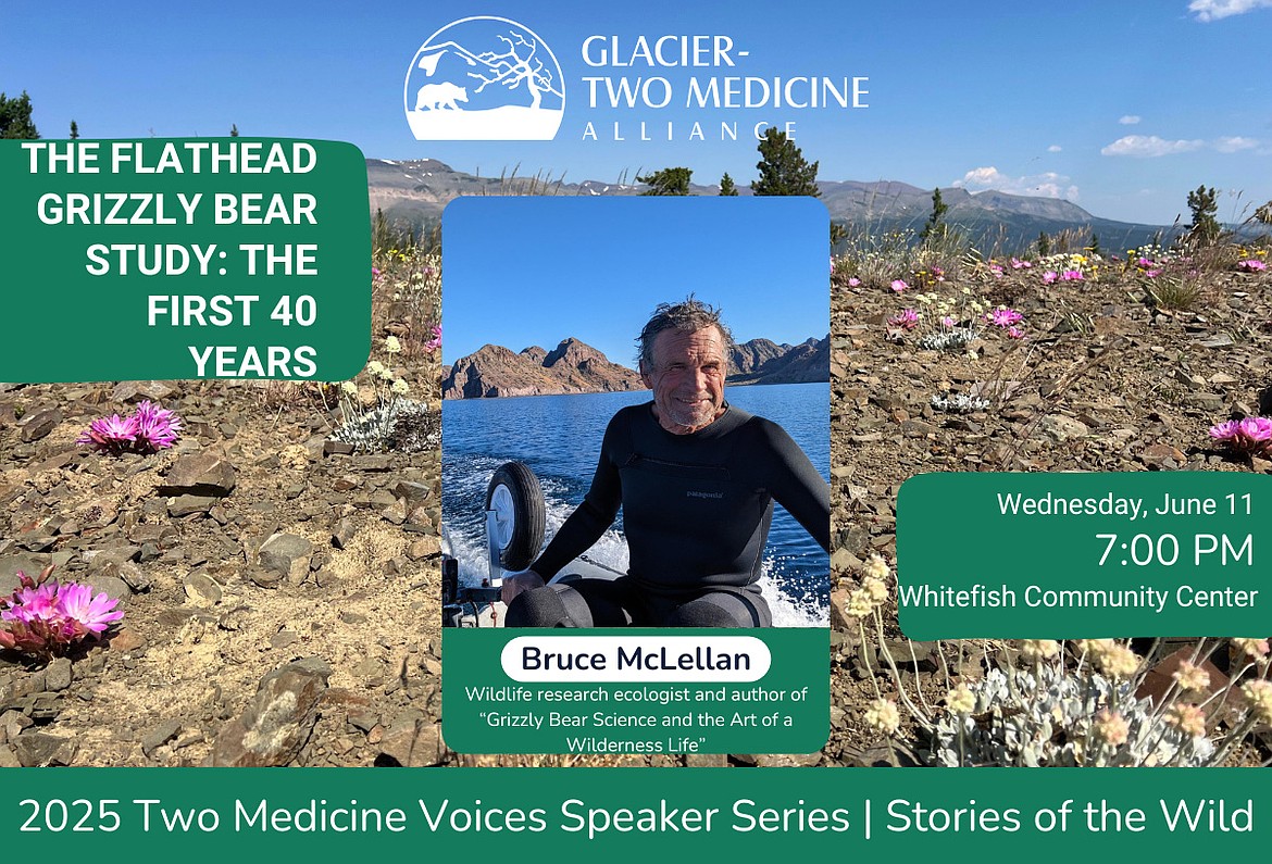 Grizzly expert Bruce McLellan to give talk in Whitefish | Whitefish Pilot