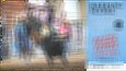 Poster Player of the Week: Tahj Wells of Browning | Daily Inter Lake
