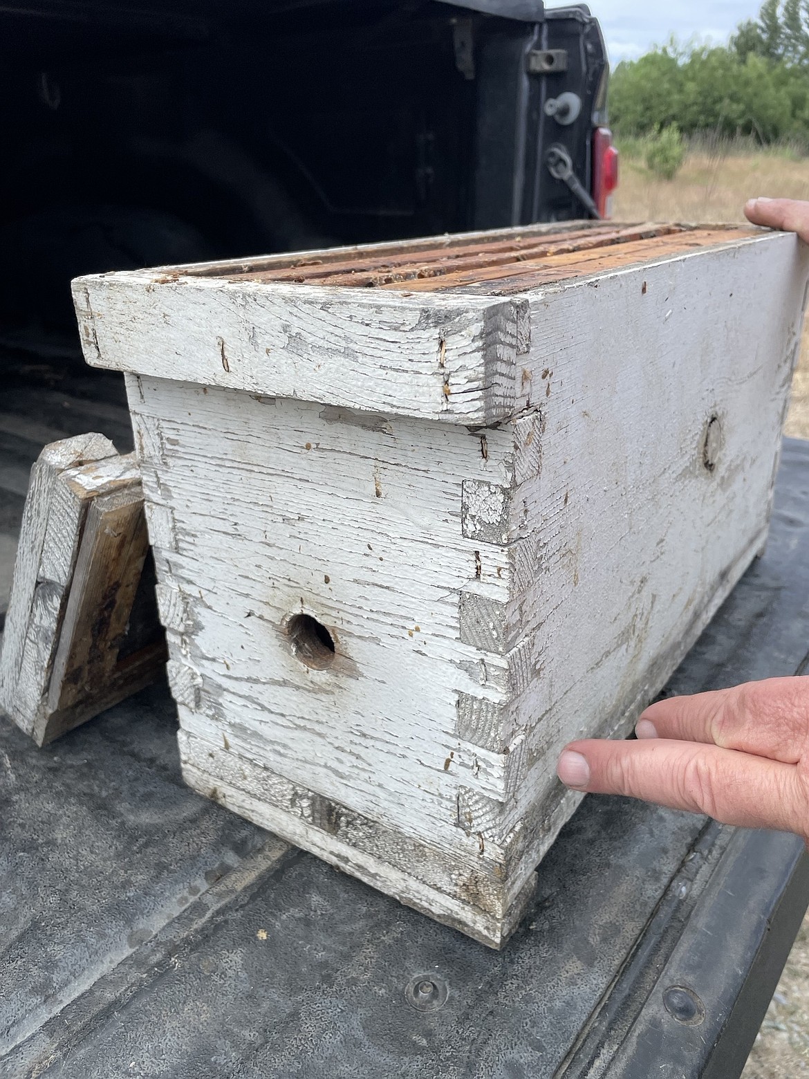 Beehive box thief remains at large | Bonners Ferry Herald