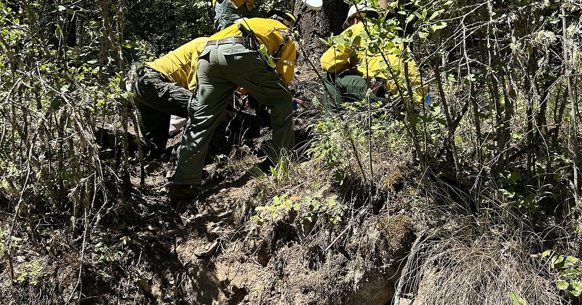 Nettleton Gulch fire at 38 acres, 0% containment | Coeur d'Alene Press