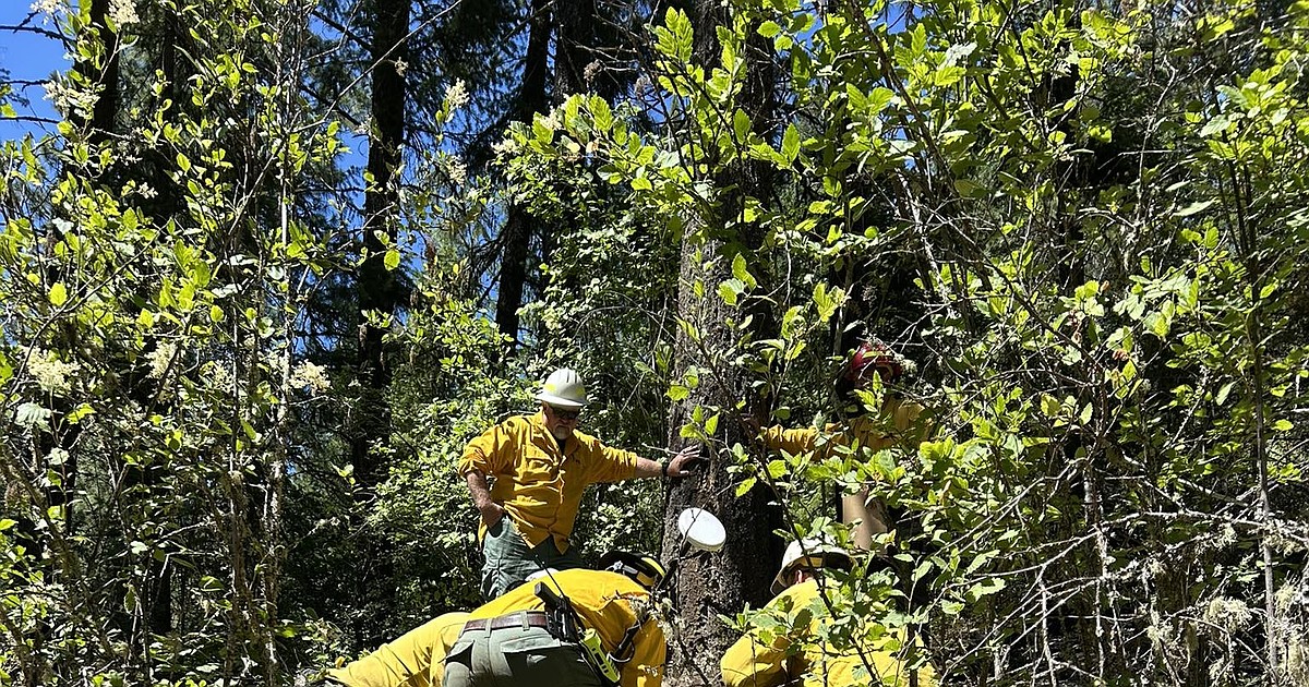 Nettleton Gulch fire at 38 acres, 0% containment | Coeur d'Alene Press