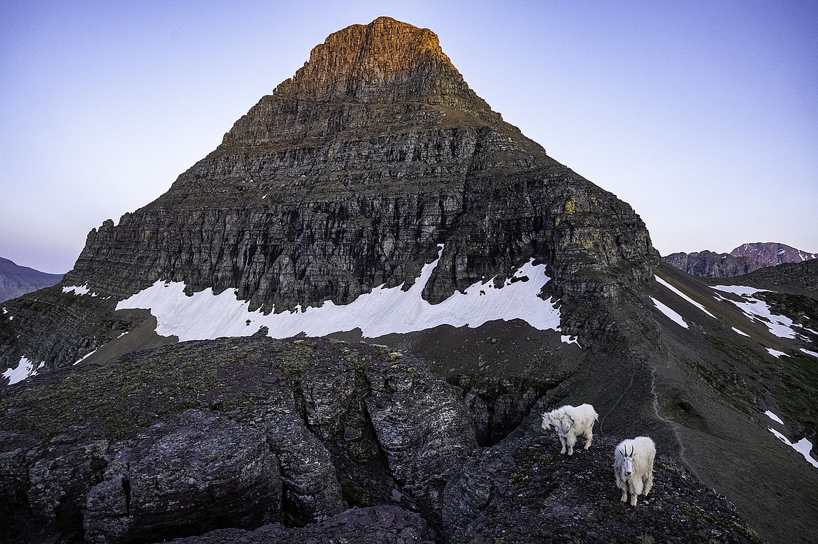 Conservancy now supports 25% of Glacier National Park's budget | Daily ...