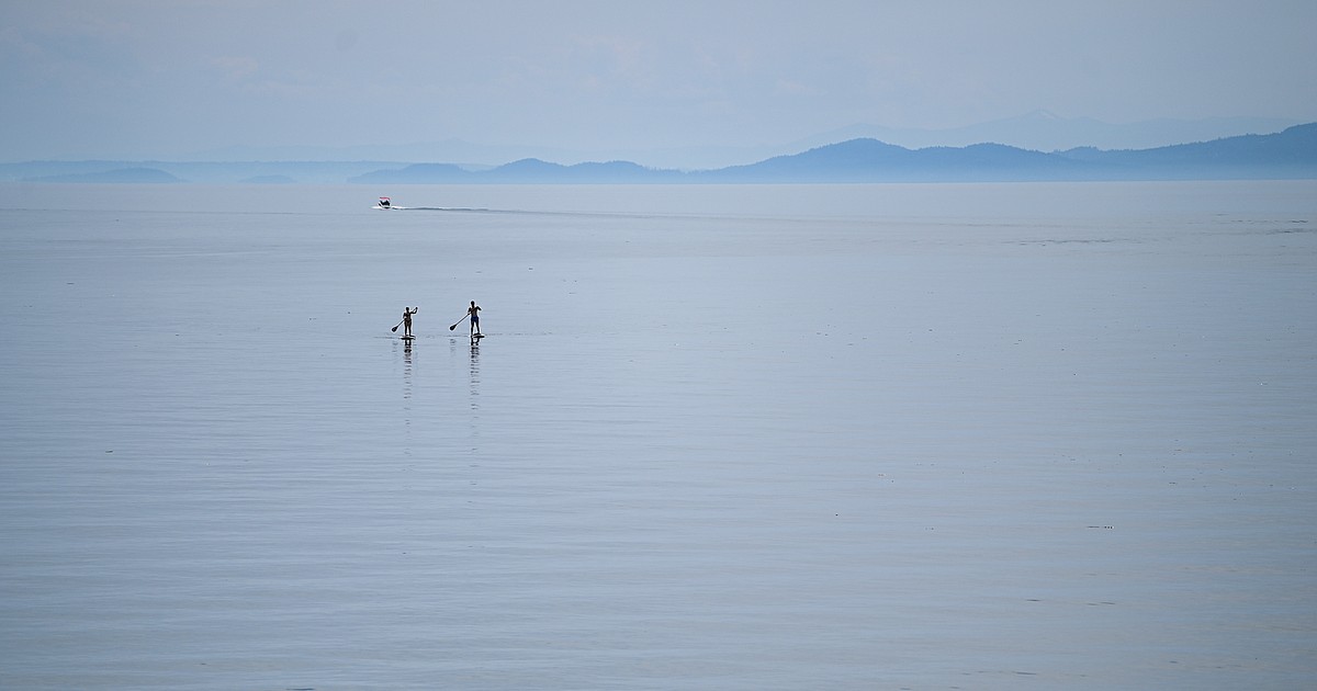 ‘Paddle out’ at Somers Beach to bring awareness to Emily Rea search ...