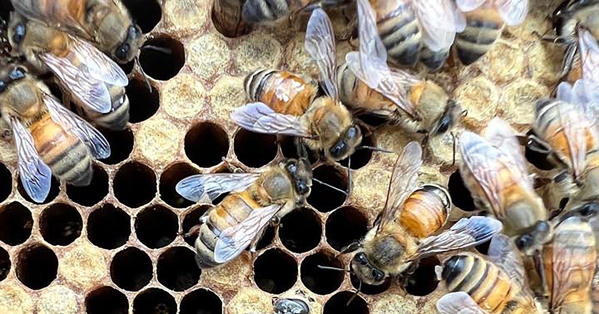 Nature is lit | Bonner County Daily Bee