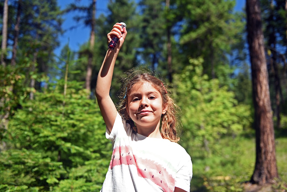 Whitefish Pilot