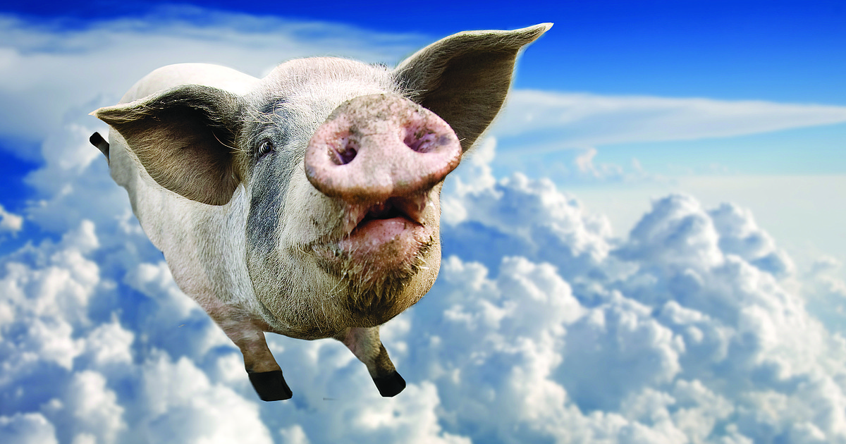 An exploration of the wonderful, whimsical, creative, curious, colorful ...