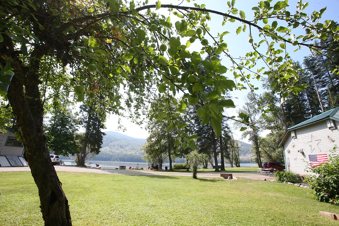 Roth family cherishes generational property on Twin Lakes | Coeur d ...