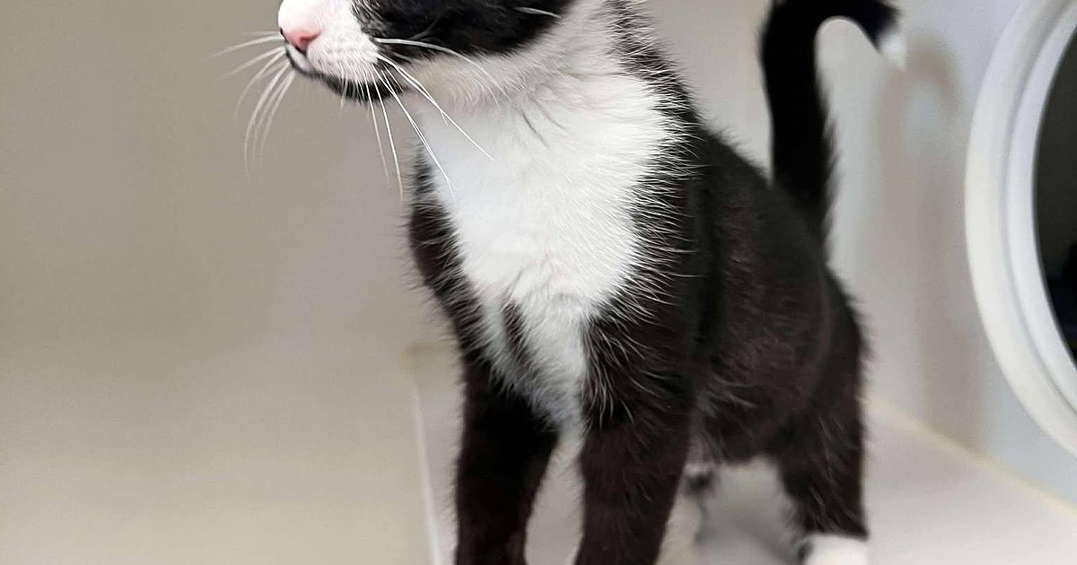 Bug-eyed baby | Columbia Basin Herald