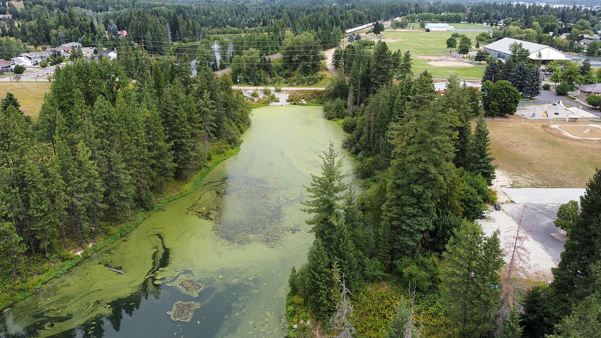 HAB advisory issued for Chuck Slough | Bonner County Daily Bee