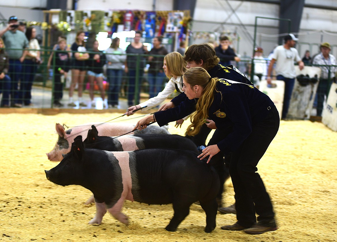 PHOTOS: 2025 Northwest Montana Fair and Rodeo | Daily Inter Lake