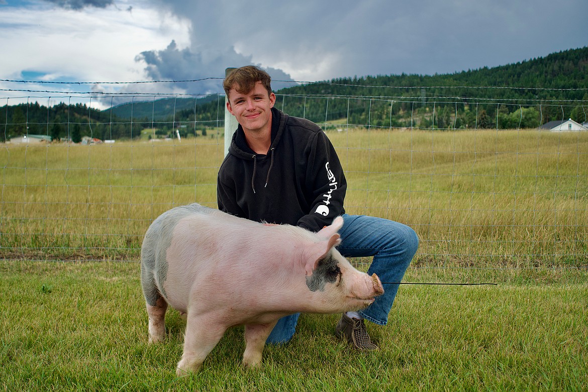 Raising and showing pigs a fair tradition for teen | Hungry Horse News