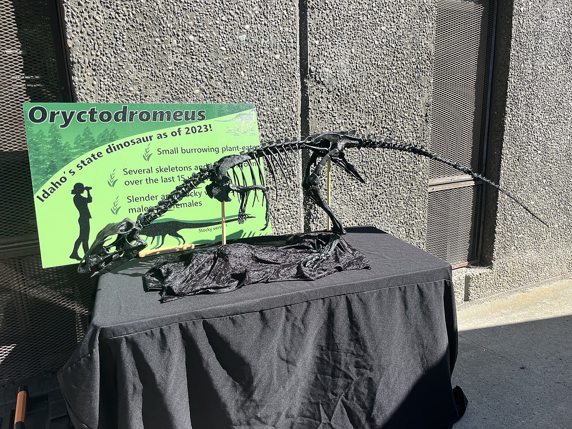 Mobile dinosaur exhibit draws crowd to Boundary County Library ...