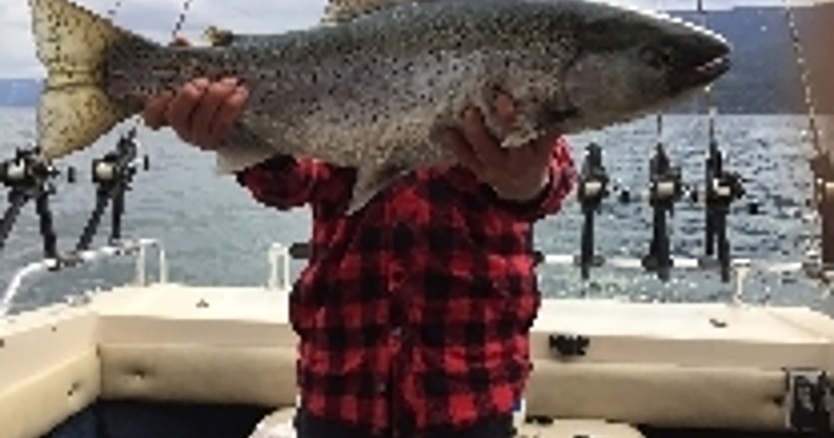 David Ivy, 71 | Bonner County Daily Bee