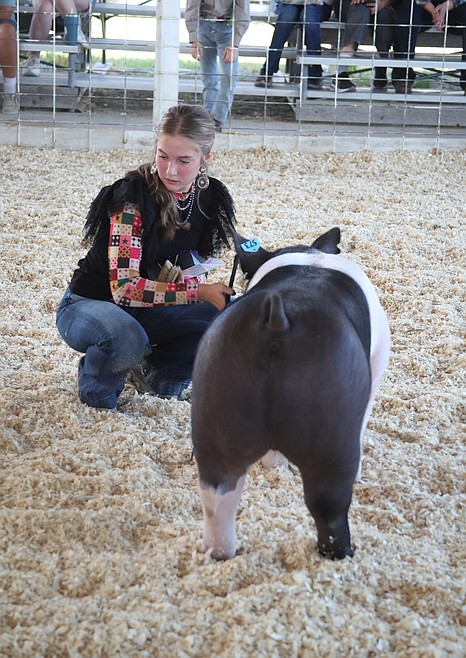 A truckload of fun | Bonner County Daily Bee