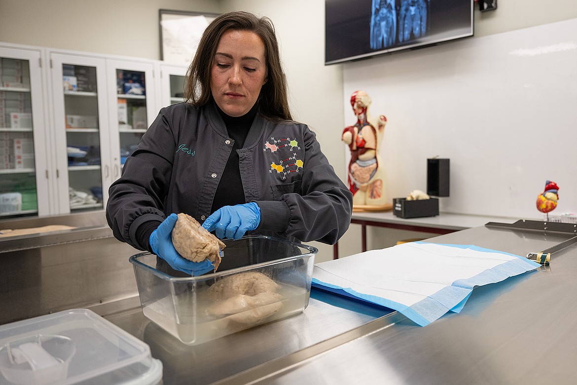 Educational afterlife: UM cadaver lab project extends learning long ...