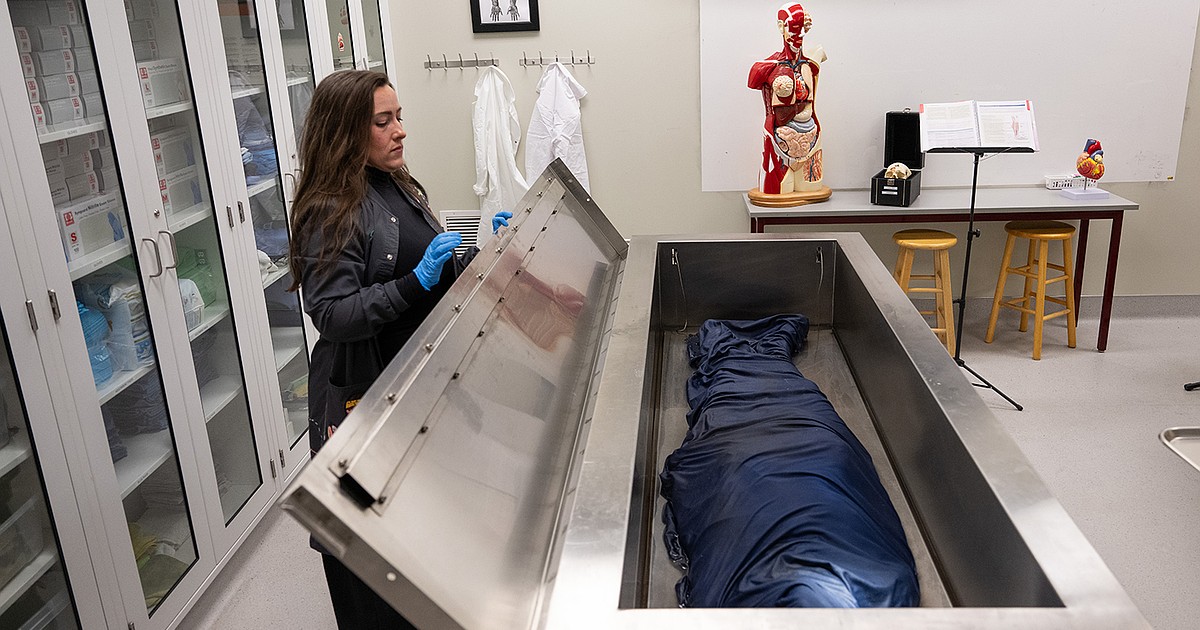 Educational afterlife: UM cadaver lab project extends learning long ...