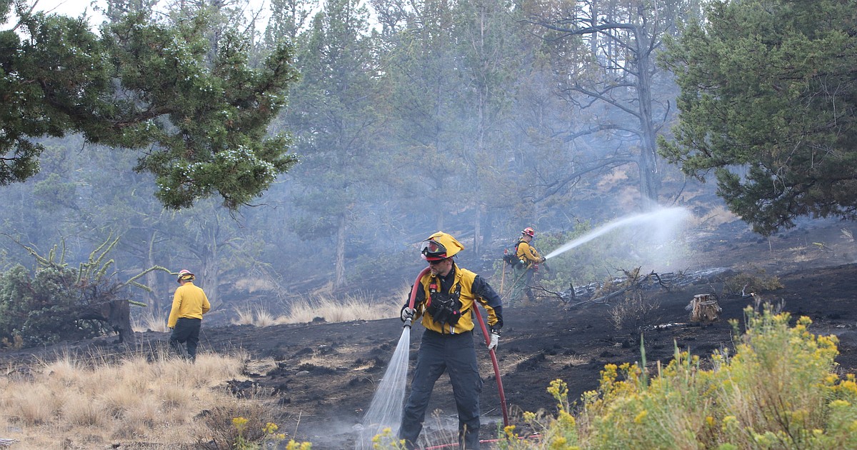 Firefighters try to corral California forest blaze as lightning strikes ...