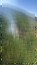 Fire season heats up | Bonner County Daily Bee
