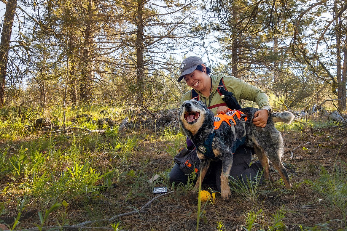 A dog team like few others | Bonner County Daily Bee