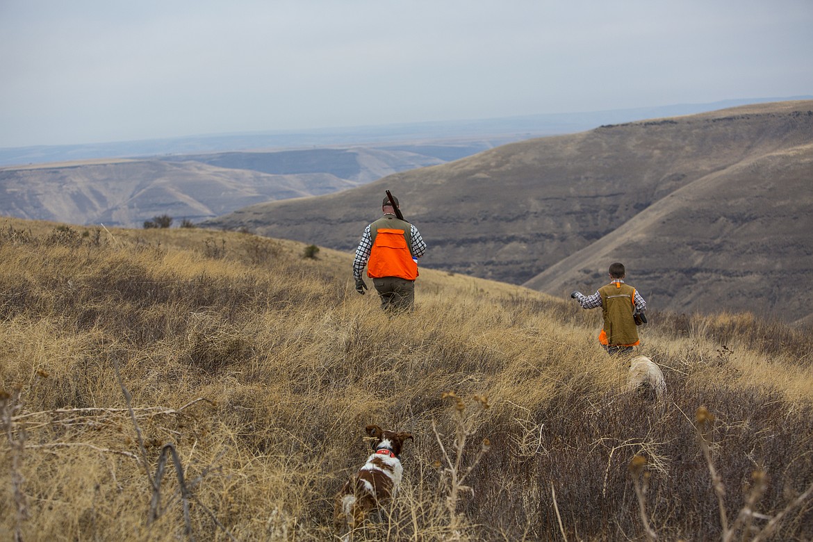 2025 upland game bird forecast | Coeur d'Alene Press
