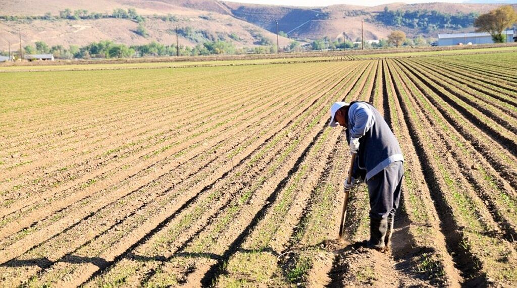 More than half of Northwest in severe, extreme drought, Oregon in ...