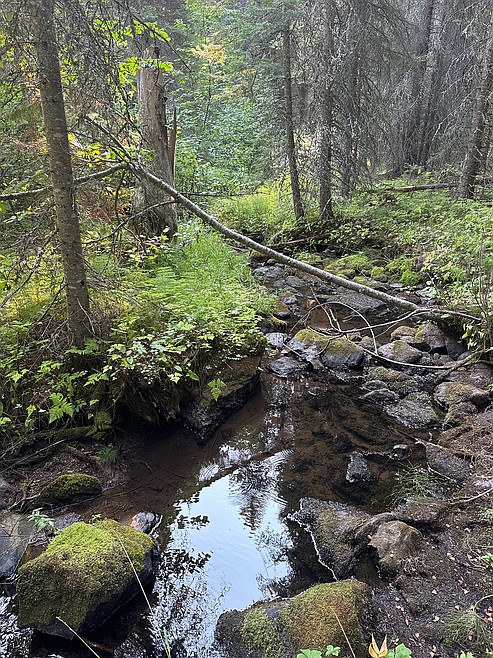 Star Meadows conservation easement preserves land, family legacy ...