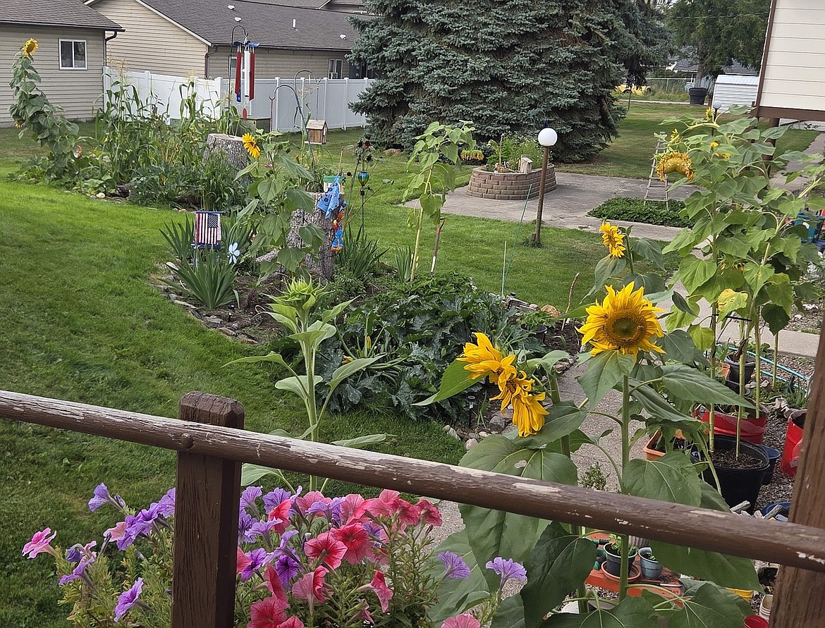 Birds and bees abound at senior housing complex | Lake County Leader