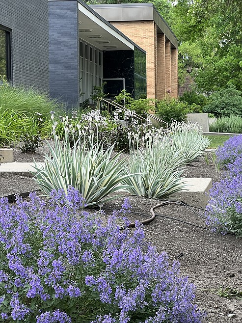 Landscaping: Think ahead with fire-resistant plants | Bonner County ...