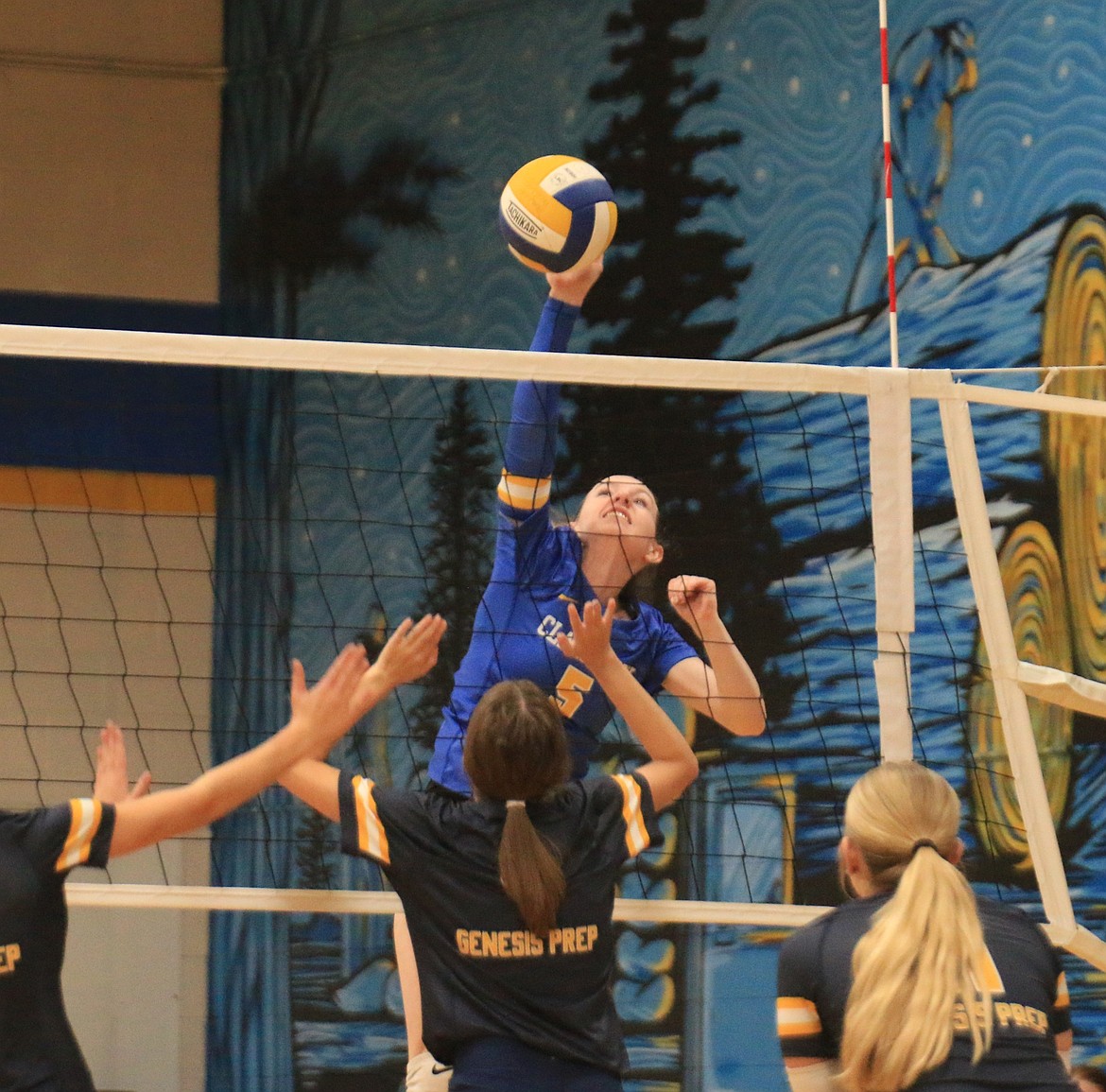 PREP VOLLEYBALL: Clark Fork takes down Genesis Prep for senior night, homecoming win | Bonner ...