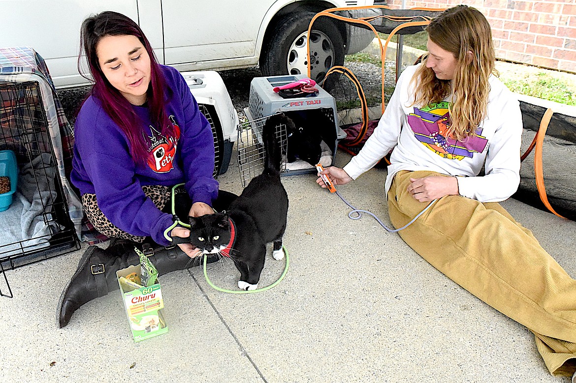 Kootenai Pets for Life's Bow Wow Bash a big success | Hagadone News Network