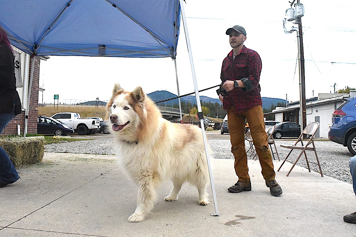 Kootenai Pets for Life's Bow Wow Bash a big success | Hagadone News Network
