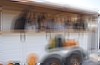 Cold Diggers opens stand in Moses Lake | Hagadone News Network