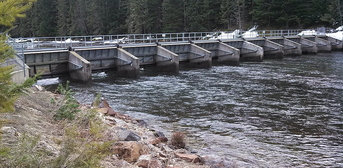 Priest Lake drawdown slowed after stakeholder feedback | Hagadone News ...