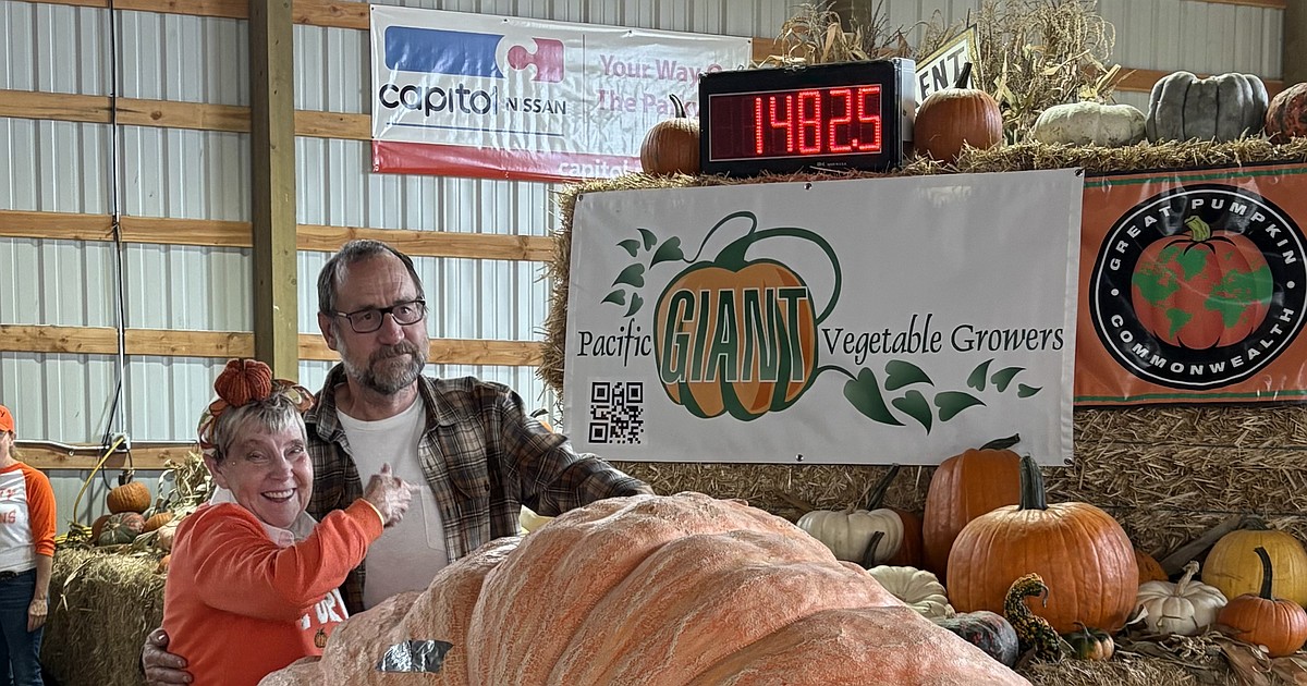Giant pumpkins and a big comeback for local grower | Hagadone News Network
