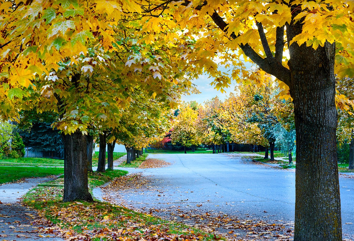 Fall colors | Coeur d'Alene Press