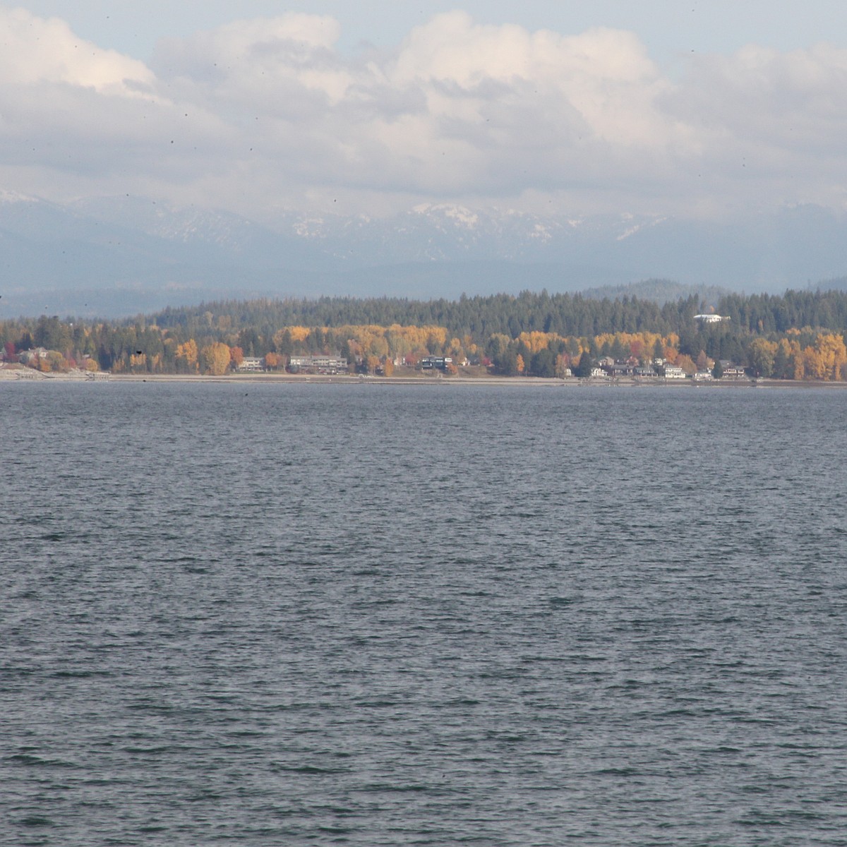 USACE predicts increased lake levels after storms | Bonner County Daily Bee