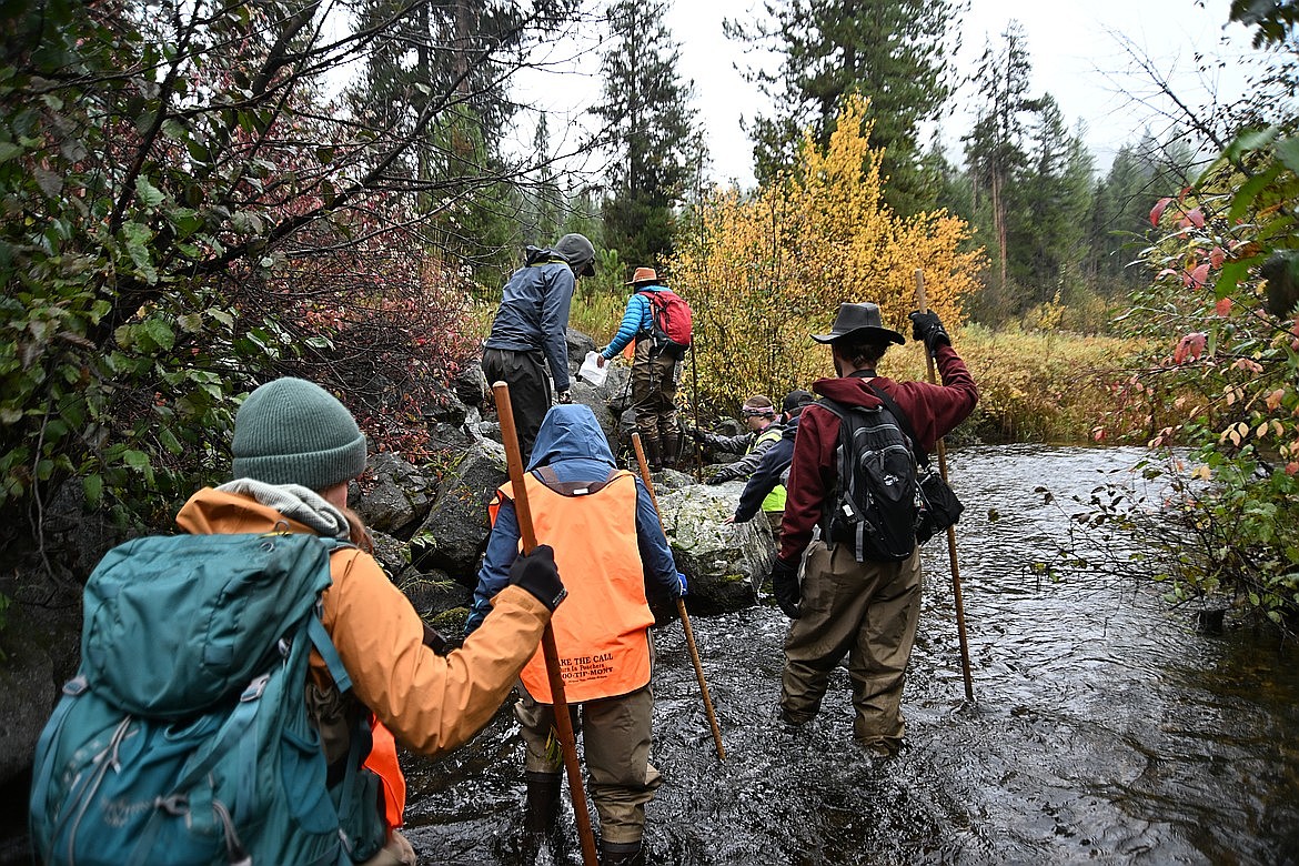 Damming evidence | Bonner County Daily Bee