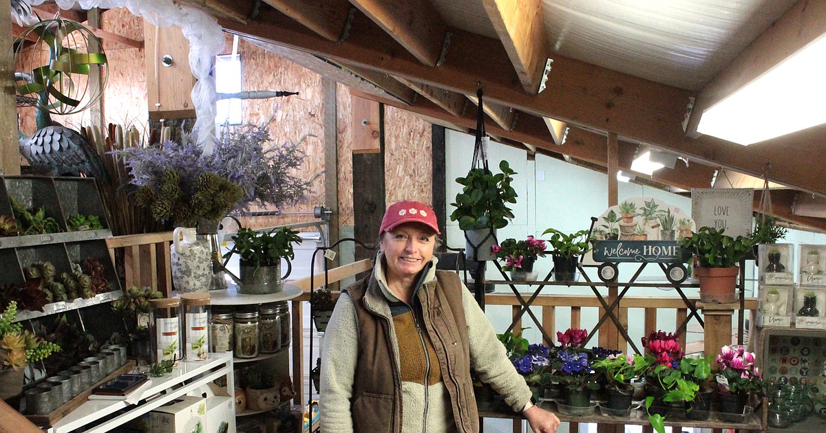 BASIN EVENTS: Nov. 7-15 | Hagadone News Network