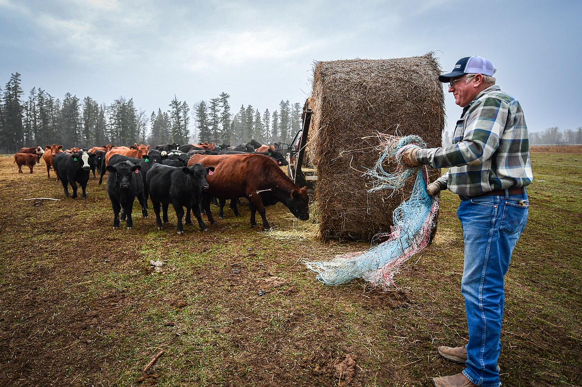 Ranchers call for free markets as feds attempt to corral rising beef ...