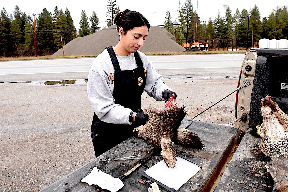 CWD identified in four new hunting districts, FWP says | Hagadone News ...