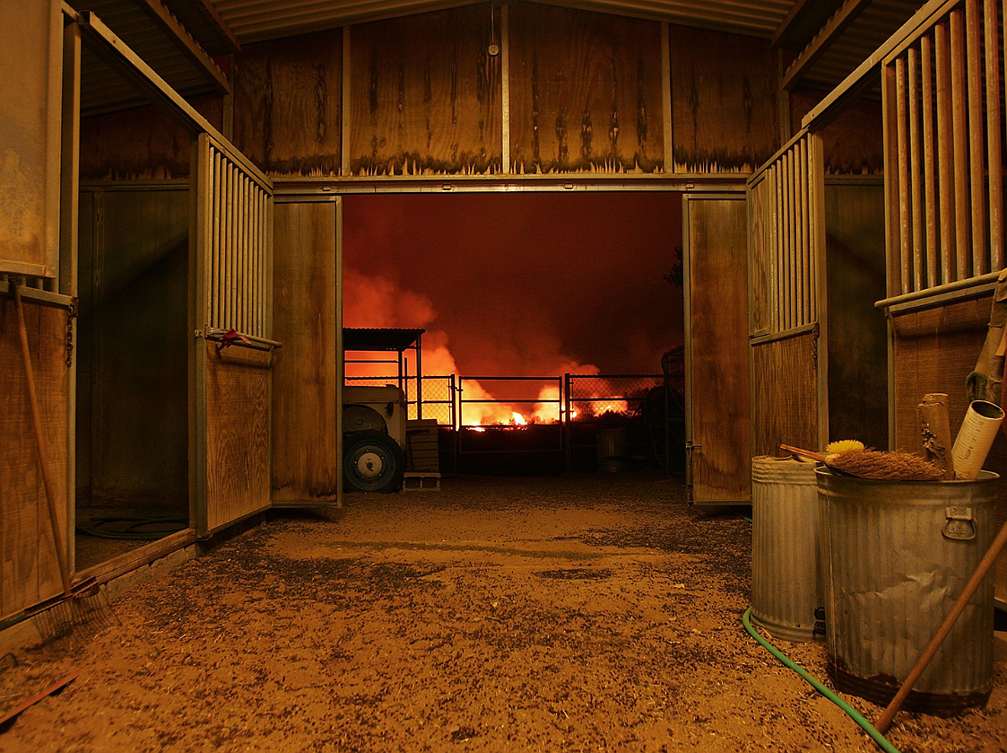 The barn fire survival guide: How to protect large animals in a fire ...