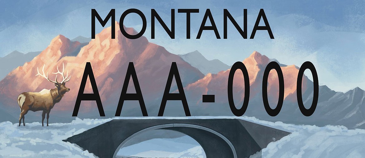 Montana wildlife crossing license plate revealed | Daily Inter Lake