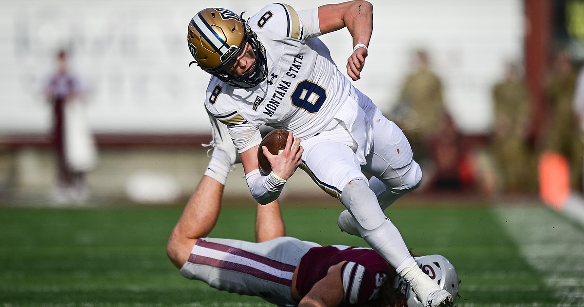 Cats, Griz capsules: FCS Quarterfinals | Daily Inter Lake