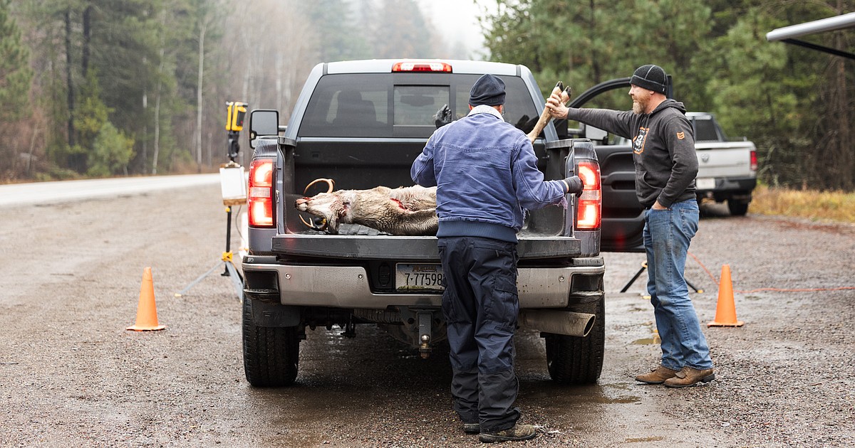 Hunters Against Hunger program boosts food bank donations while ...