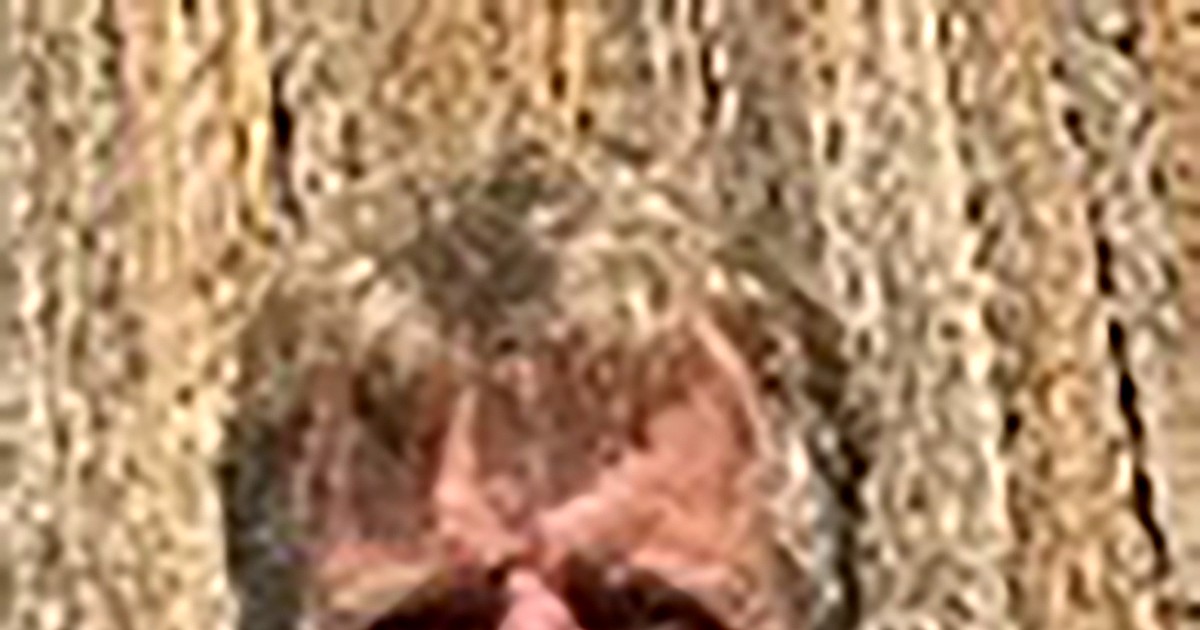 Tom Sykes, 80 | Bonner County Daily Bee