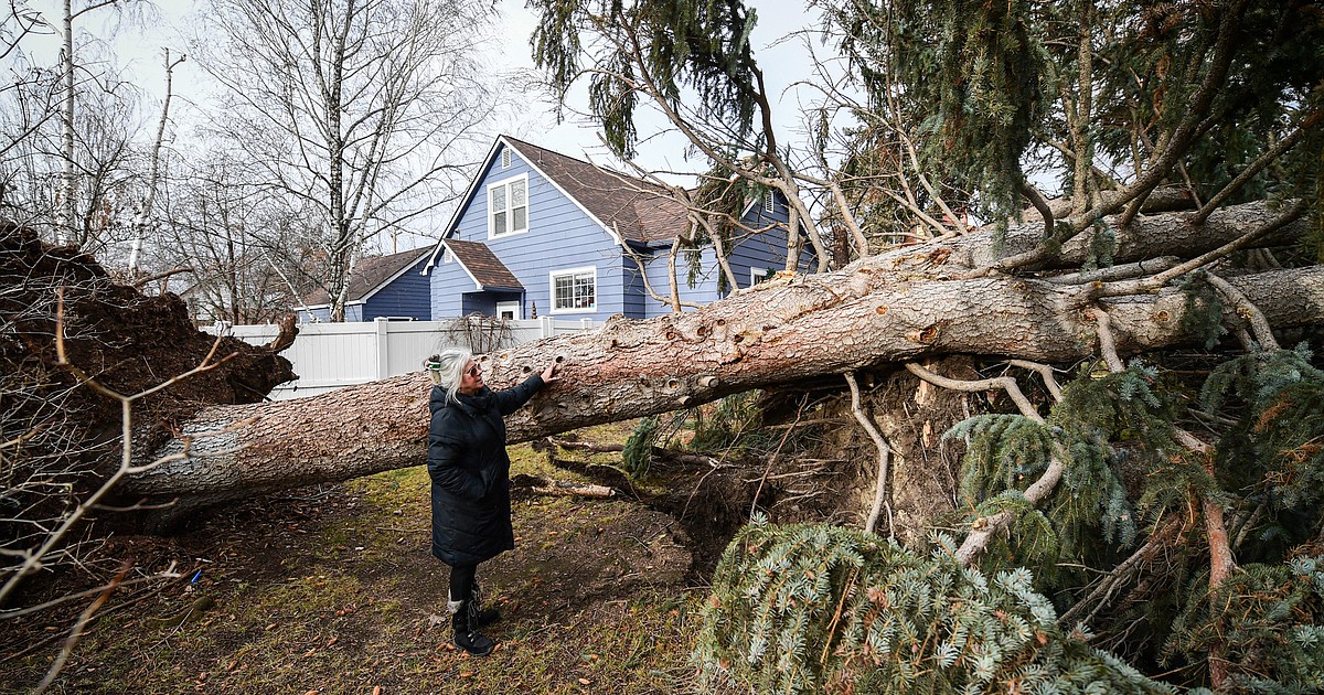 Intense wind knocks out power to thousands of homes | Daily Inter Lake