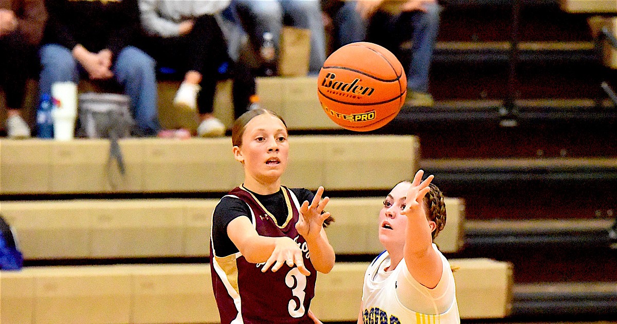 Wood, Delmas lead Libby girls over Troy, 51-41 | Western News
